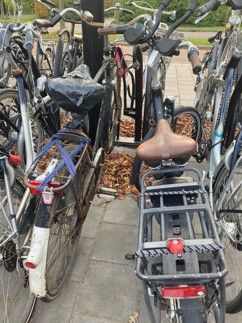 Gemeente ruimt weesfietsen en verkeerd gestalde fietsen op | Opende Online